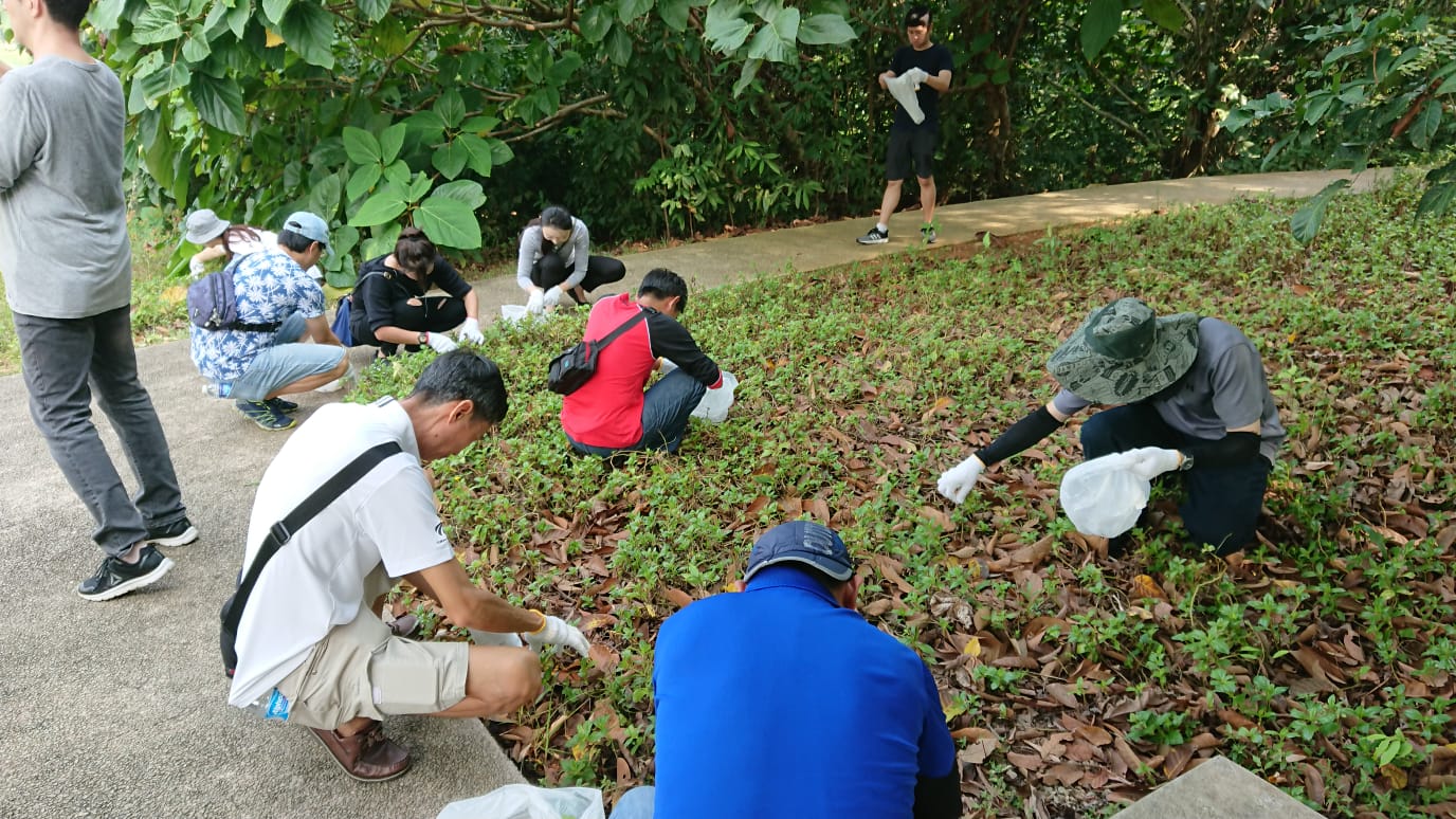 Tokyo Century’s Local Subsidiaries in Singapore Volunteered to Conserve Nature | Sustainability ...